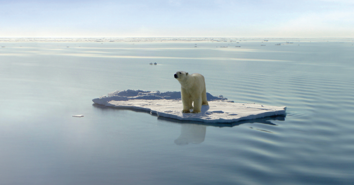 Climate change talks in Copenhagen are critical for Earth's future ...