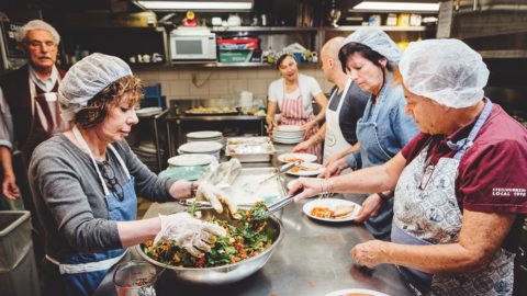 Japanese method can grow forests 10 times faster — and help heal our ...