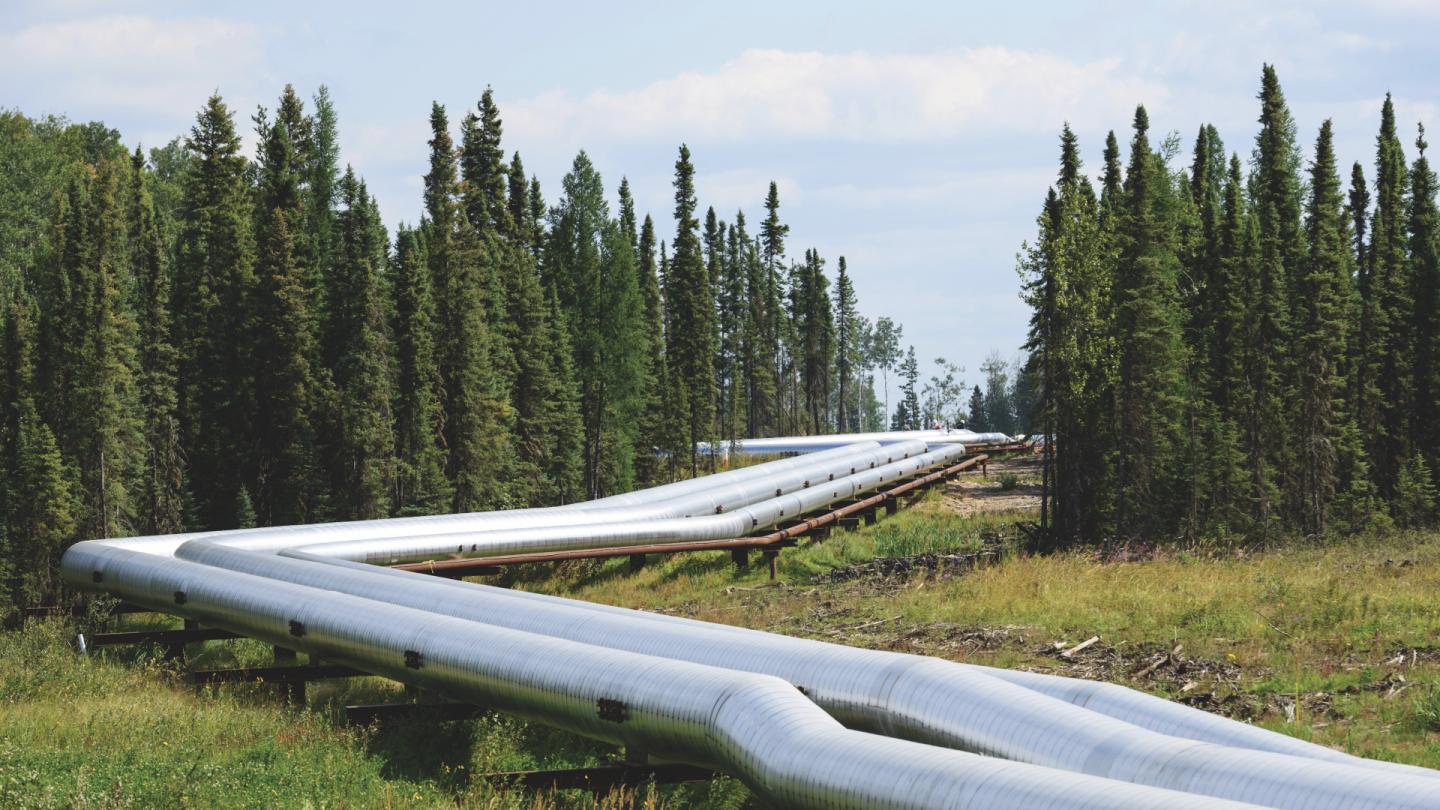 Alicia Elliott reflects on media bias in MMIWG report | Broadview Magazine