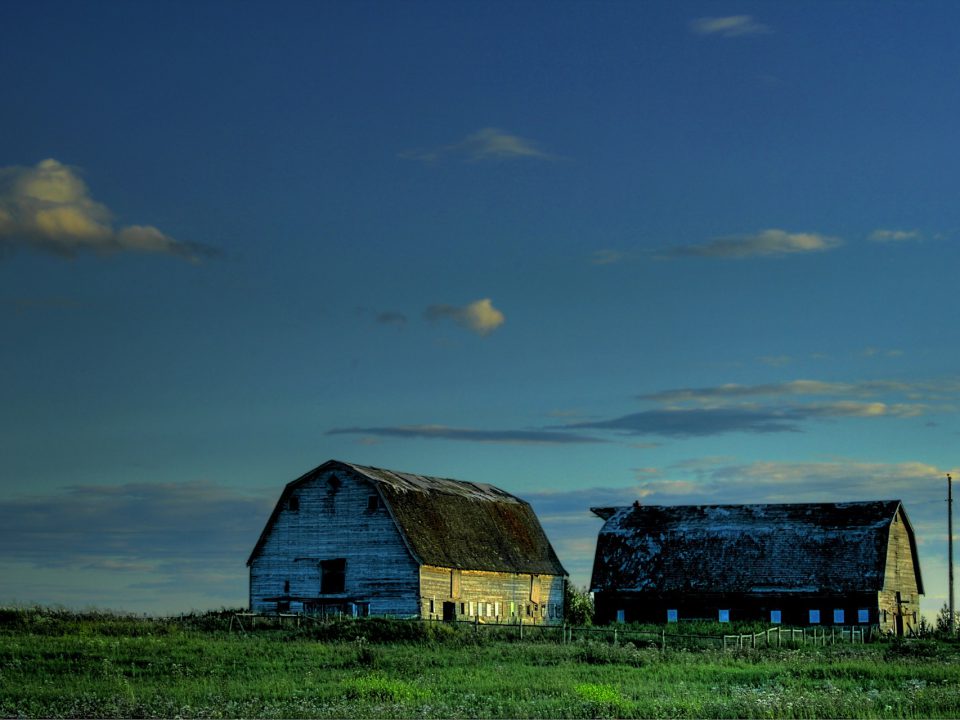 Geel, Belgium has a radical approach to mental illness | Broadview Magazine