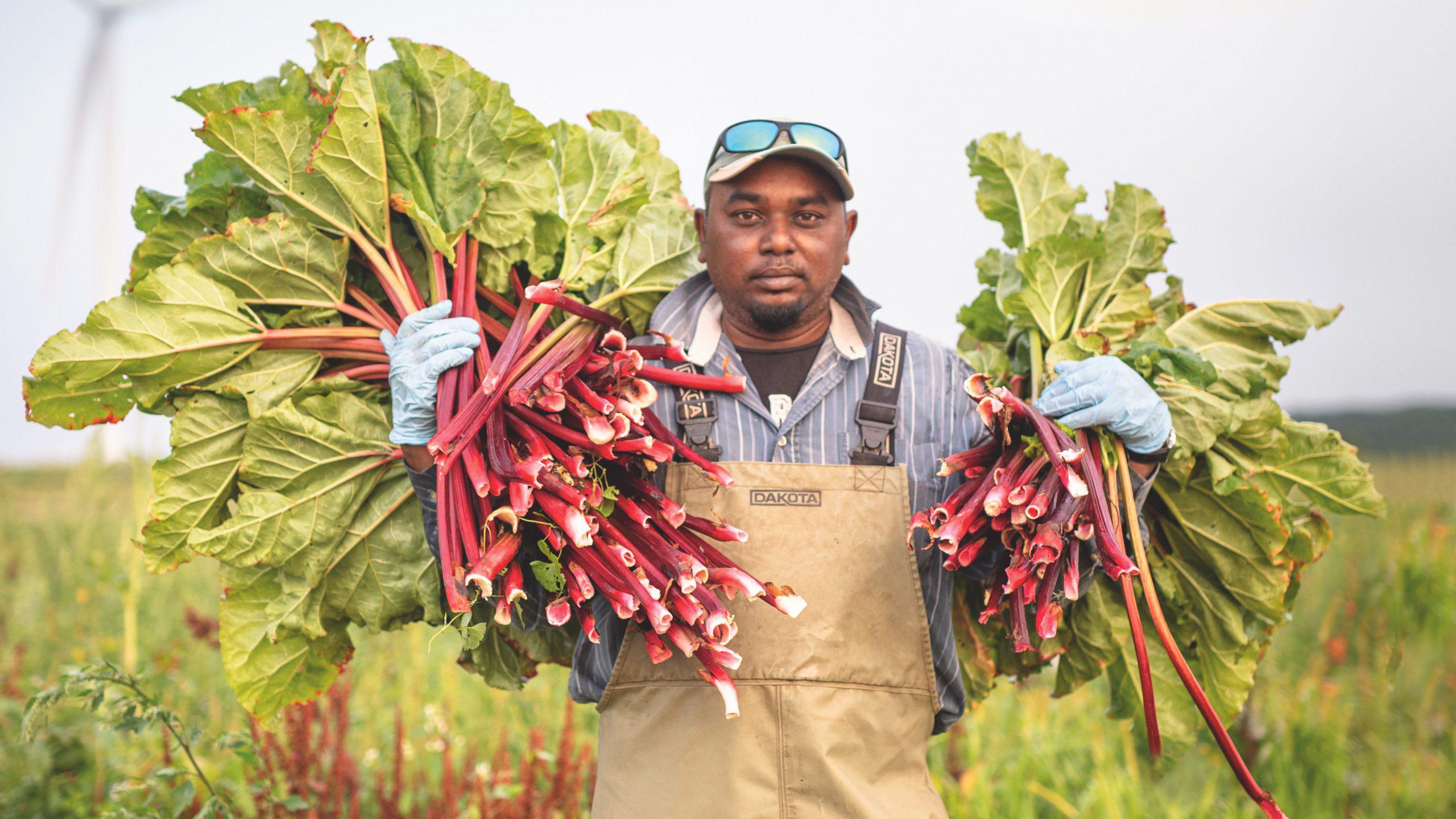 How this family farm illustrates Canada’s vulnerable food system ...