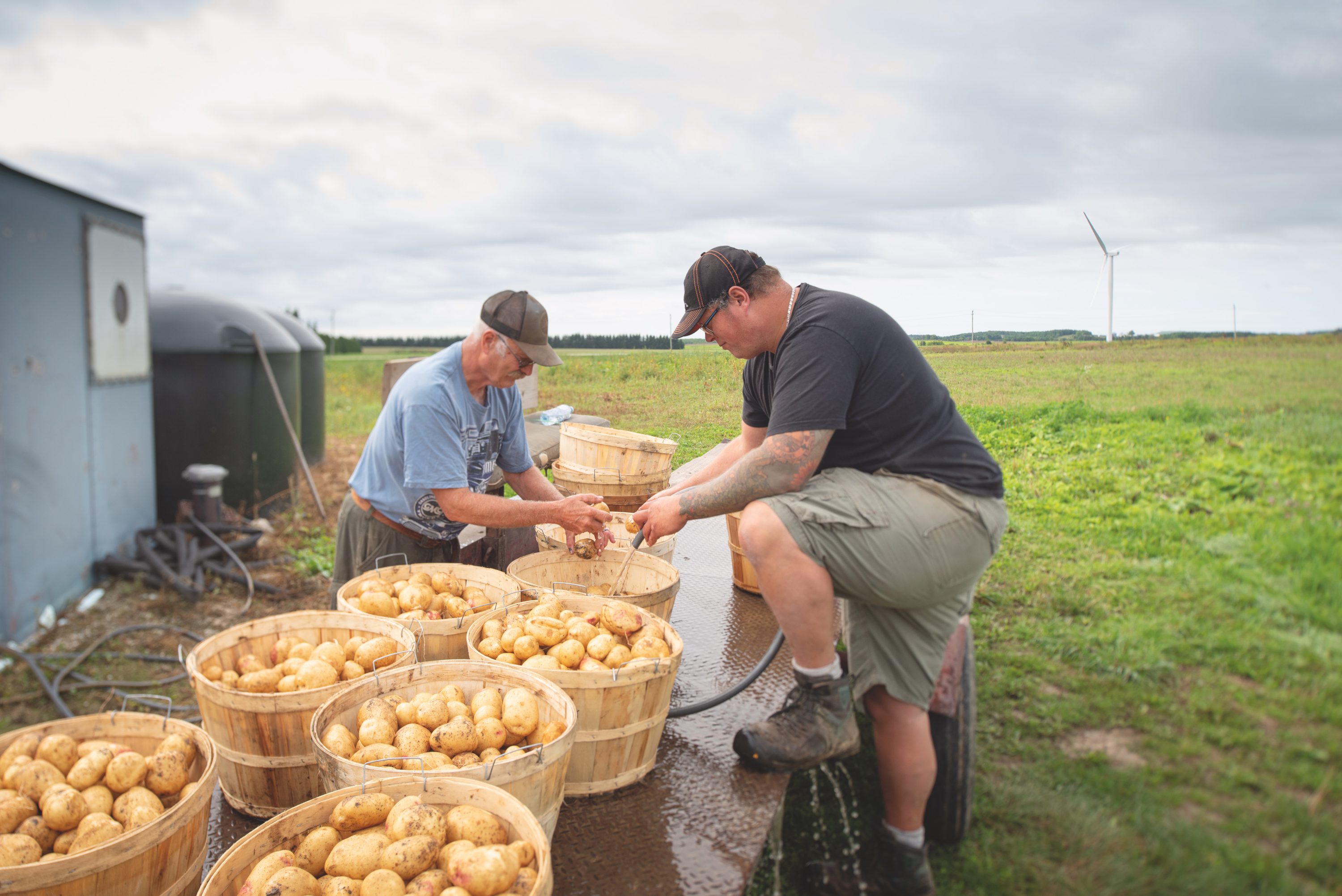 How this family farm illustrates Canada’s vulnerable food system ...