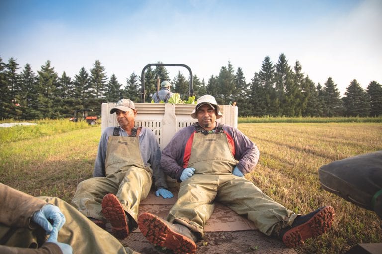 How this family farm illustrates Canada’s vulnerable food system ...