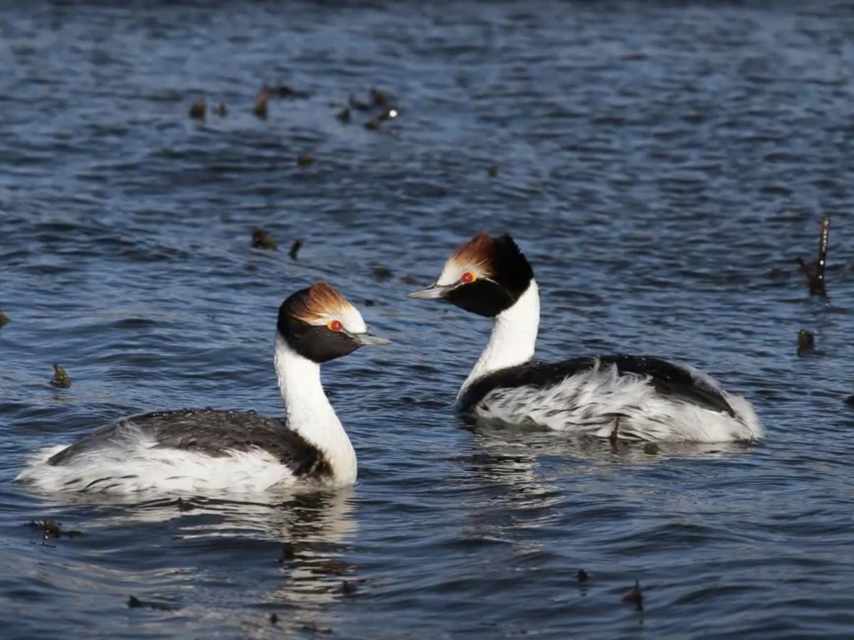 Geel, Belgium has a radical approach to mental illness | Broadview Magazine