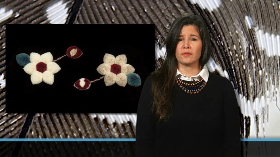 4 Indigenous education courses to help fill in your knowledge gaps ...